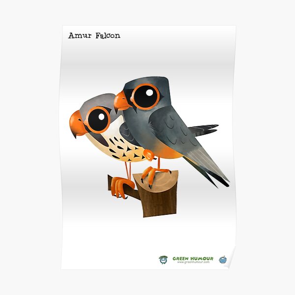 "Amur Falcon" Poster for Sale by rohanchak | Redbubble