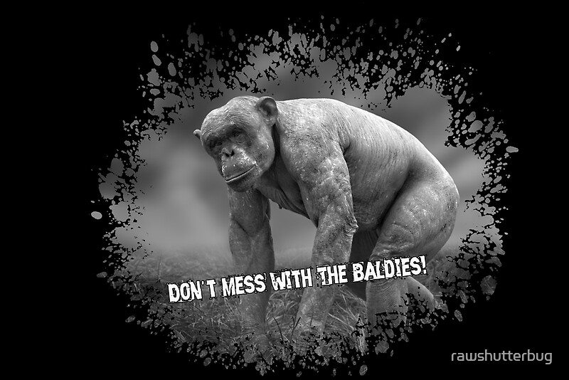 "Jambo The Hairless Chimpanzee With Slogan" by rawshutterbug | Redbubble