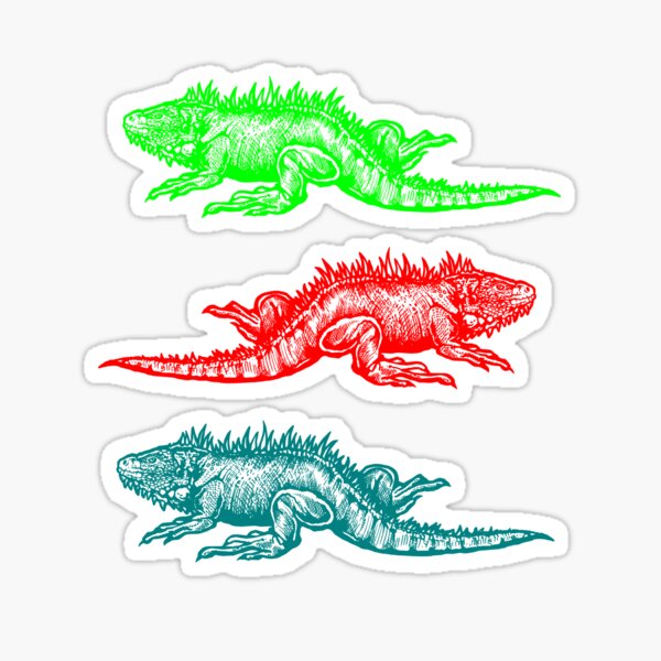 Iguana Stickers | Redbubble