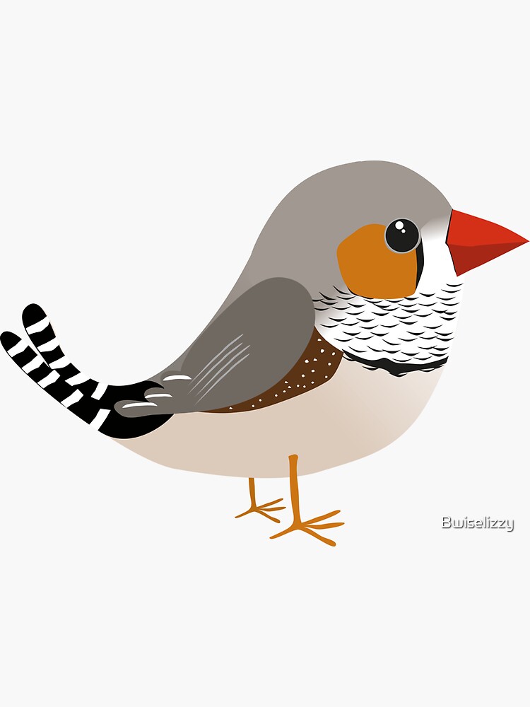 "Zebra finch vector" Sticker for Sale by Bwiselizzy | Redbubble