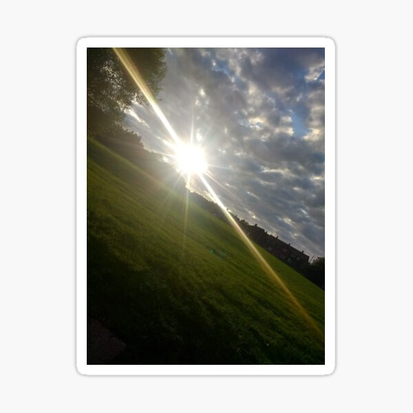 "Sunny day out " Sticker for Sale by Jodieh03 | Redbubble