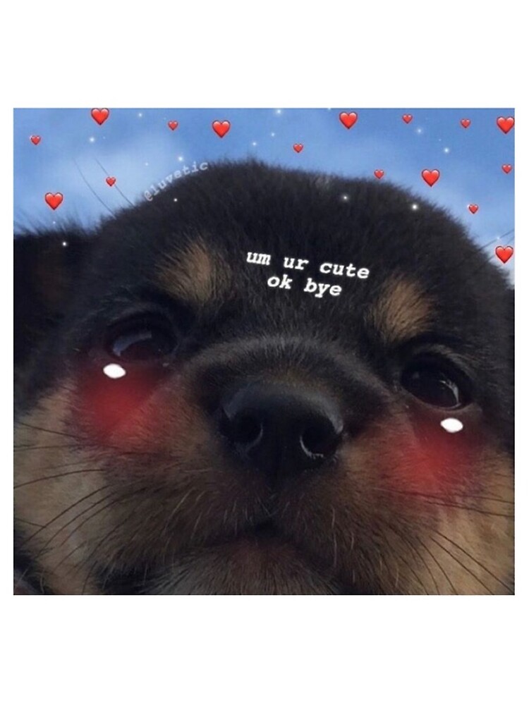 "um ur cute ok bye" iPhone Case for Sale by Cryed | Redbubble