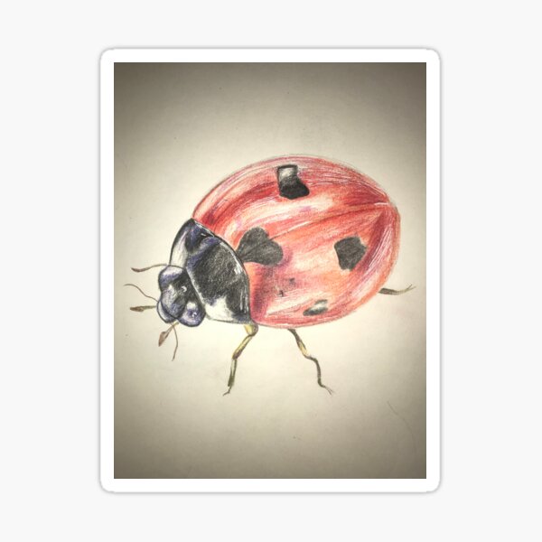 "Ladybird sticker (drawing)" Sticker by kathaaared | Redbubble
