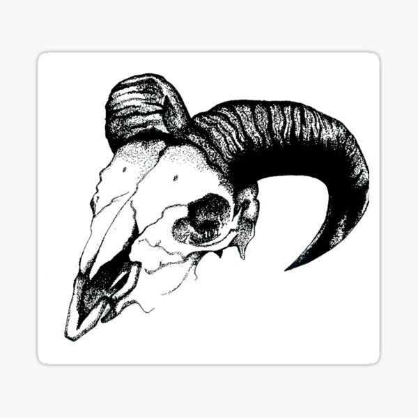 "Ram Skull" Sticker for Sale by samanthaegreene | Redbubble