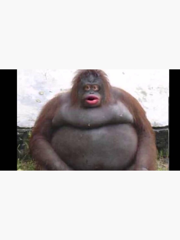 "Uh Oh, Stinky" Sticker by JaxHart | Redbubble