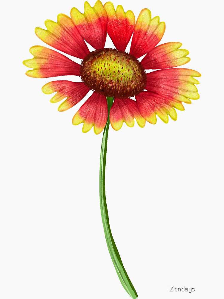 "Firewheel. Indian Blanket. Texas Wildflower." Sticker by Zendays ...