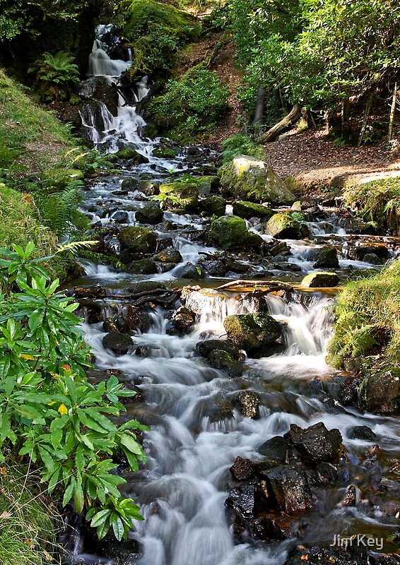 "Waterfall Burrator Dartmoor" by Jim Key | Redbubble