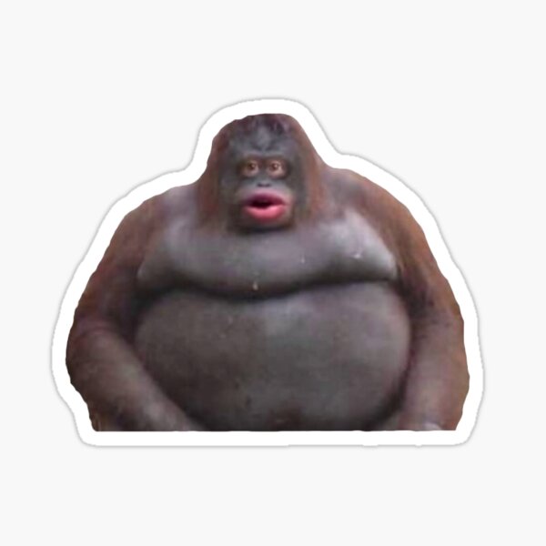 "Uh Oh Stinky Monkey" Sticker by amy-wenn | Redbubble