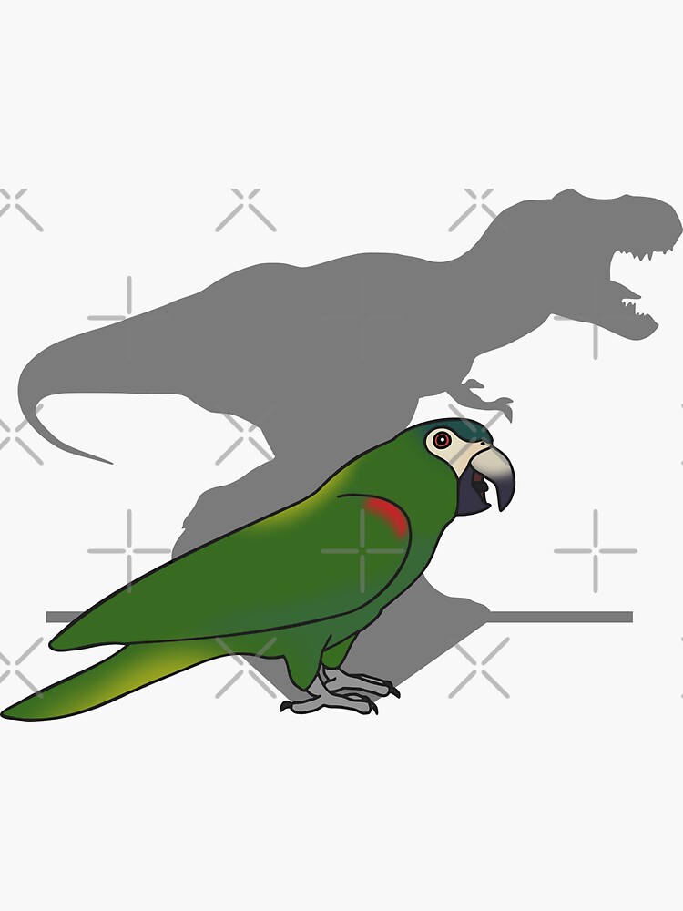 "t-rex Hahn's Macaw parrot" Sticker by FandomizedRose | Redbubble