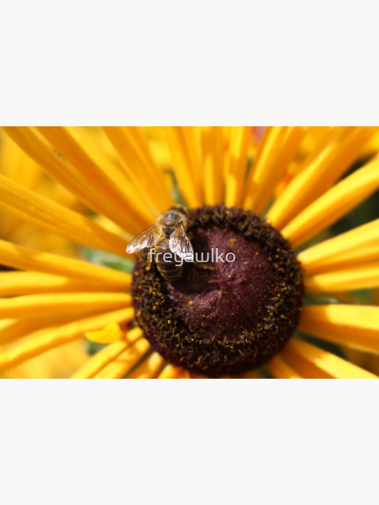 "buzzy buzzy bee" Sticker for Sale by freyawlko | Redbubble