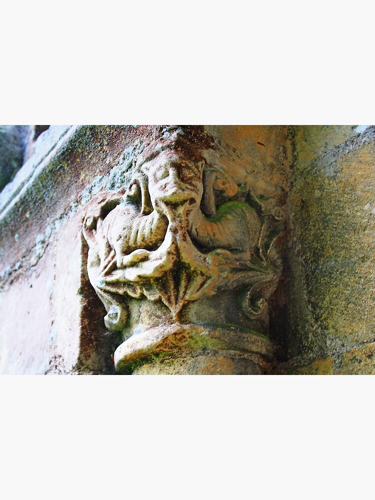 "Barfreston Dragon" Poster by RWTA | Redbubble