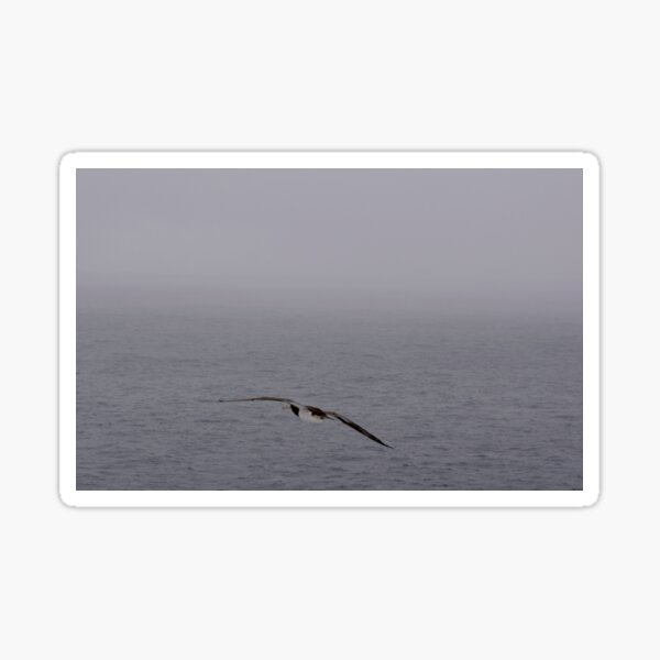 "Albatross" Sticker for Sale by Xaedalus | Redbubble