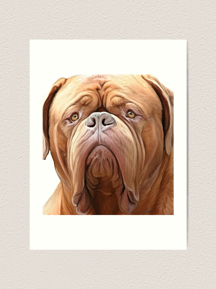 "dogue de bordeaux ( french Mastiff)" Art Print by CazzieCreations ...