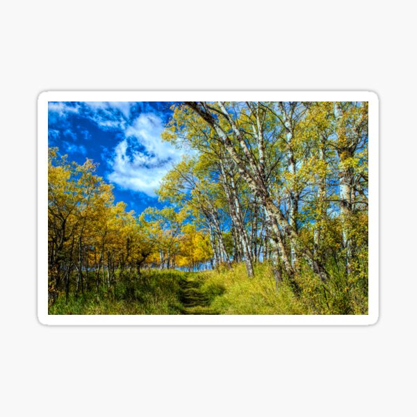 "Up the hill." Sticker for Sale by CanadianWild418 | Redbubble