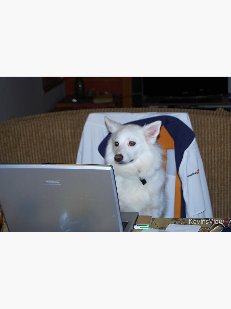 "Computer Dog" Poster by KevinsView | Redbubble