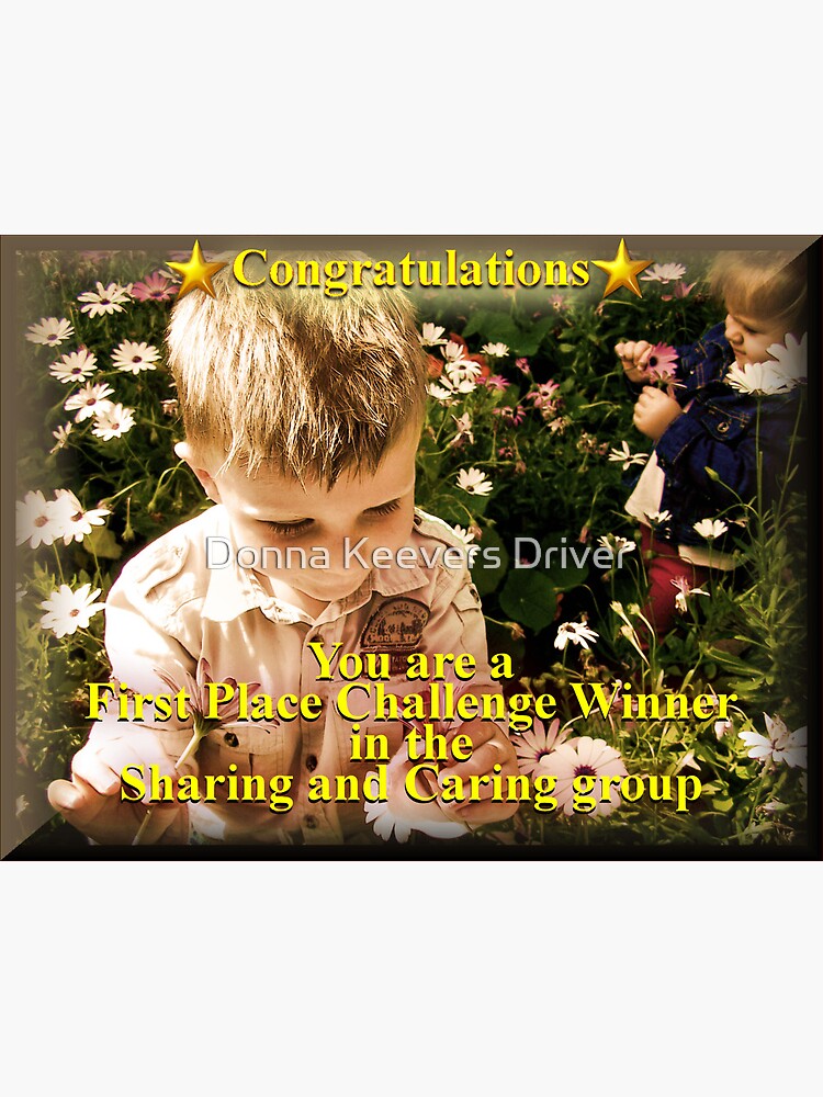 ""Sharing and Caring" Banner Challenge" Poster by Keyverse | Redbubble