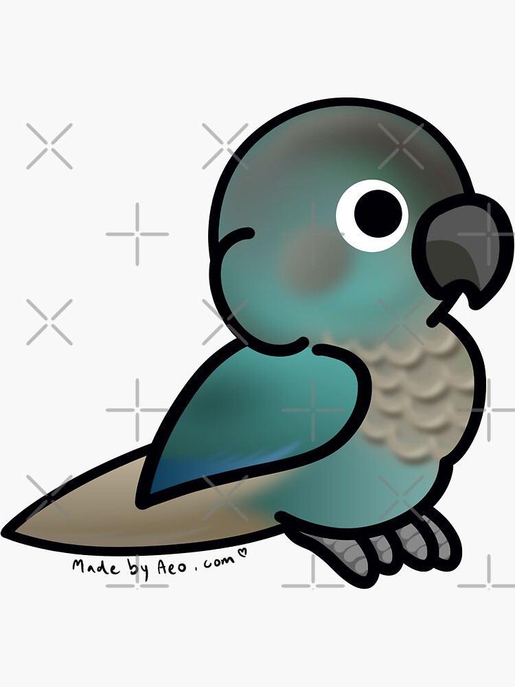 "Turquoise Green Cheek Conure!" Sticker for Sale by MadebyAeo | Redbubble