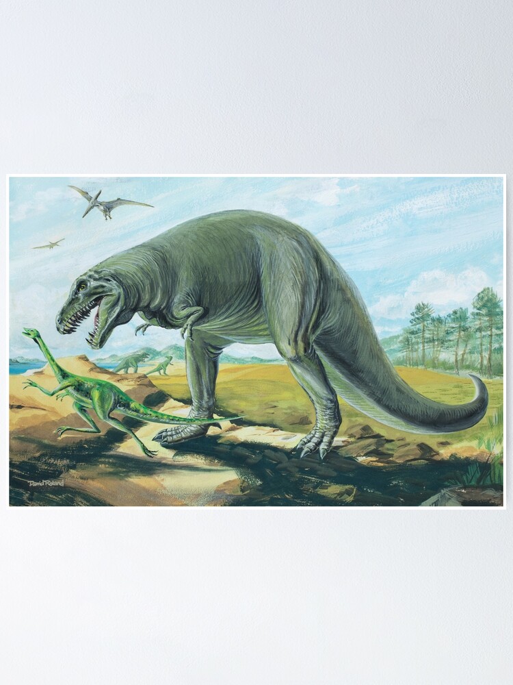 "Tyrannosaurus Rex" Poster by lewisroland | Redbubble