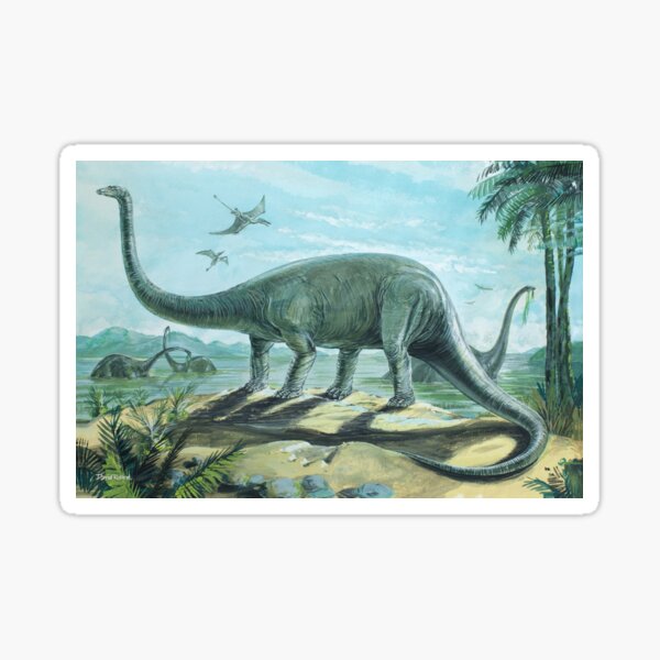 "Diplodocus" Sticker by lewisroland | Redbubble