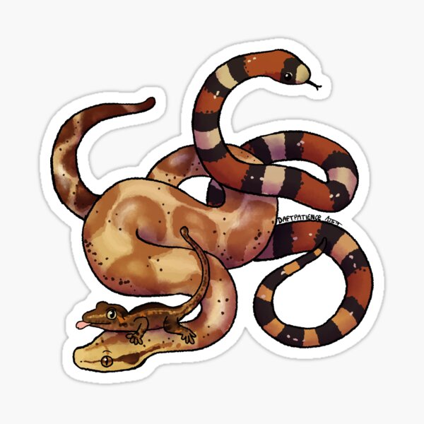 "3 friendos - red tail boa, milk snake, & gargoyle gecko!" Sticker for ...