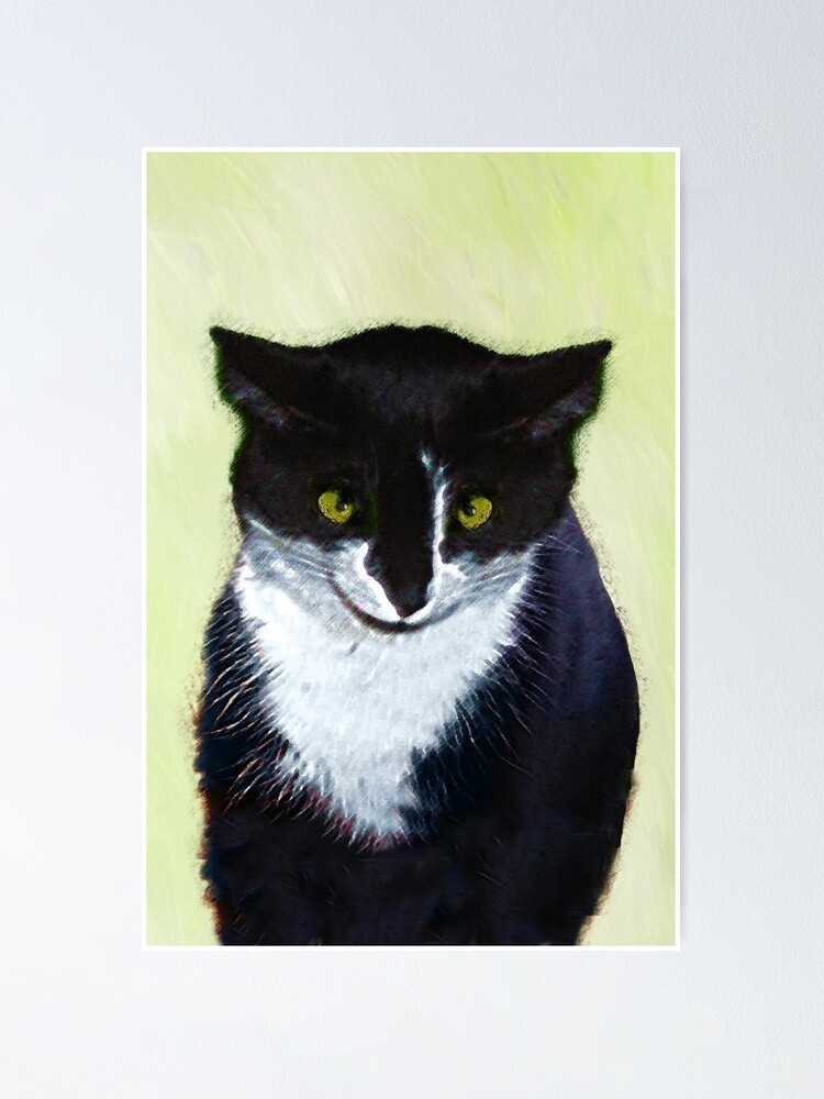 "Tuxedo Cat" Poster for Sale by alpendesigns | Redbubble
