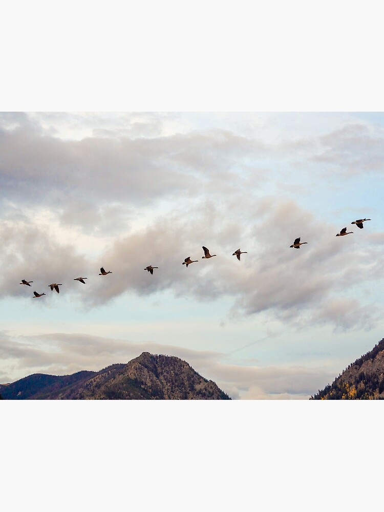 "Migration of the Birds // Mountain and Sky Meets Nature Landscape ...