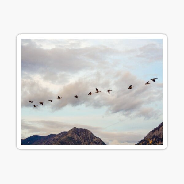 "Migration of the Birds // Mountain and Sky Meets Nature Landscape ...