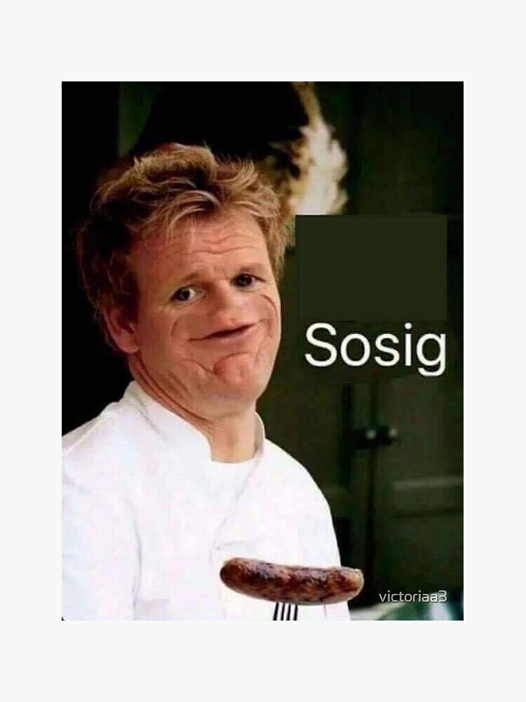  Gordon Ramsay Meme Sticker For Sale By Victoriaa3 Redbubble