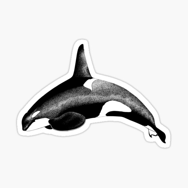 "SRKW K25 "Scoter"" Sticker for Sale by savagerman | Redbubble