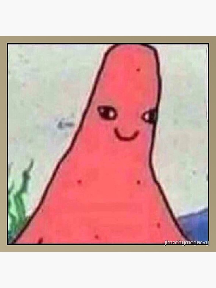 "Patrick Star Meme" Sticker by jimothymcgarvy | Redbubble