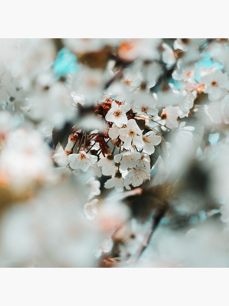 "Spring Nostalgia" Poster by moodpicker | Redbubble