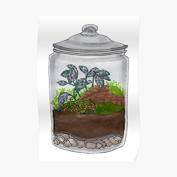 "Plant Terrarium" Poster by EBG-draws | Redbubble
