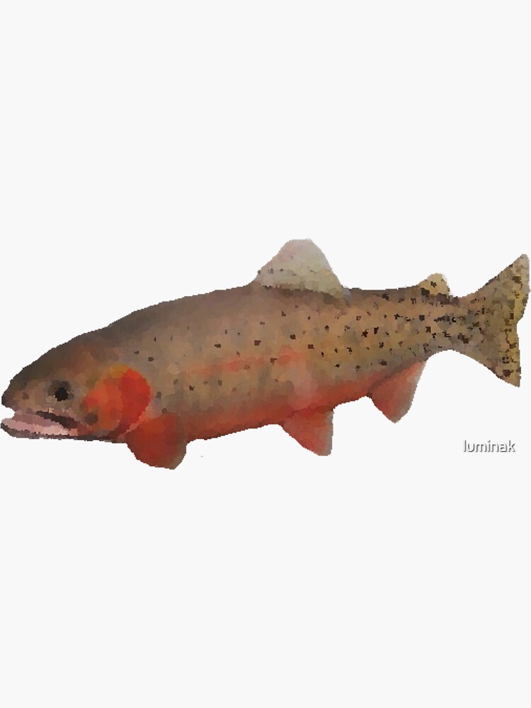 "Cutthroat Trout Paint-Style" Sticker for Sale by luminak | Redbubble