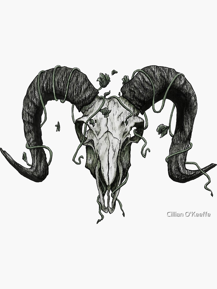 "Forested Ram Skull" Sticker for Sale by Cillian O'Keeffe | Redbubble