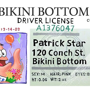 "patrick star's driver's license" Sticker for Sale by urmomabbey ...