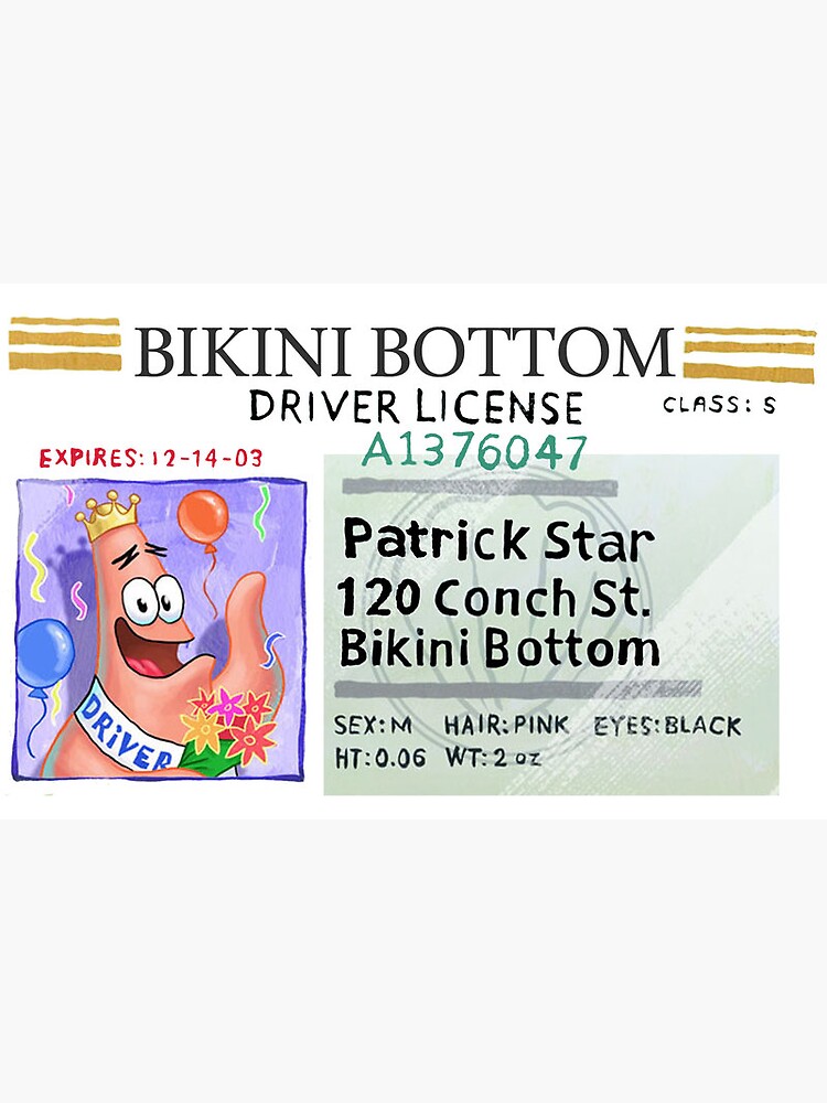 "patrick star's driver's license" Sticker for Sale by urmomabbey ...