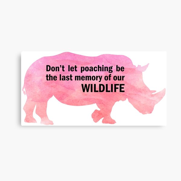 Poaching Rhino Canvas Prints | Redbubble