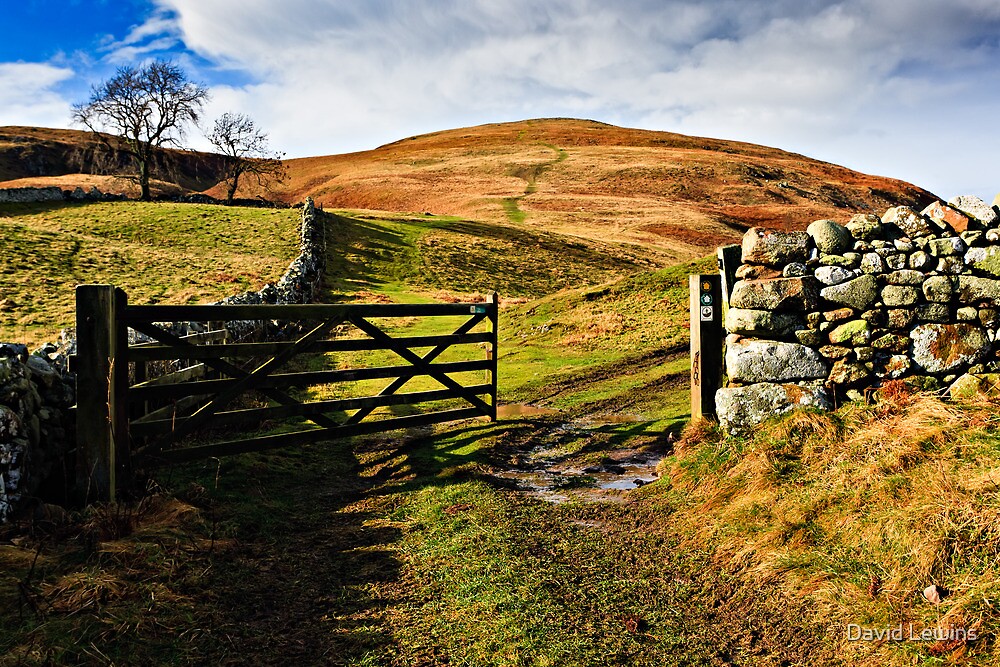"Humbleton Hill, Northumberland National Park. UK" by David Lewins ...