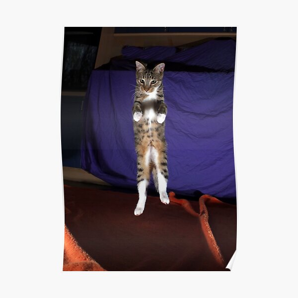 "Alien cat" Poster for Sale by turniptowers | Redbubble