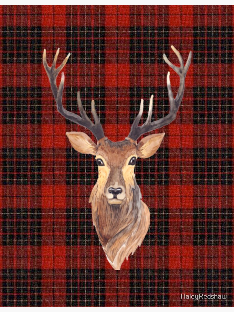 "Beautiful Christmas wildlife Stag face" Sticker by HaleyRedshaw ...