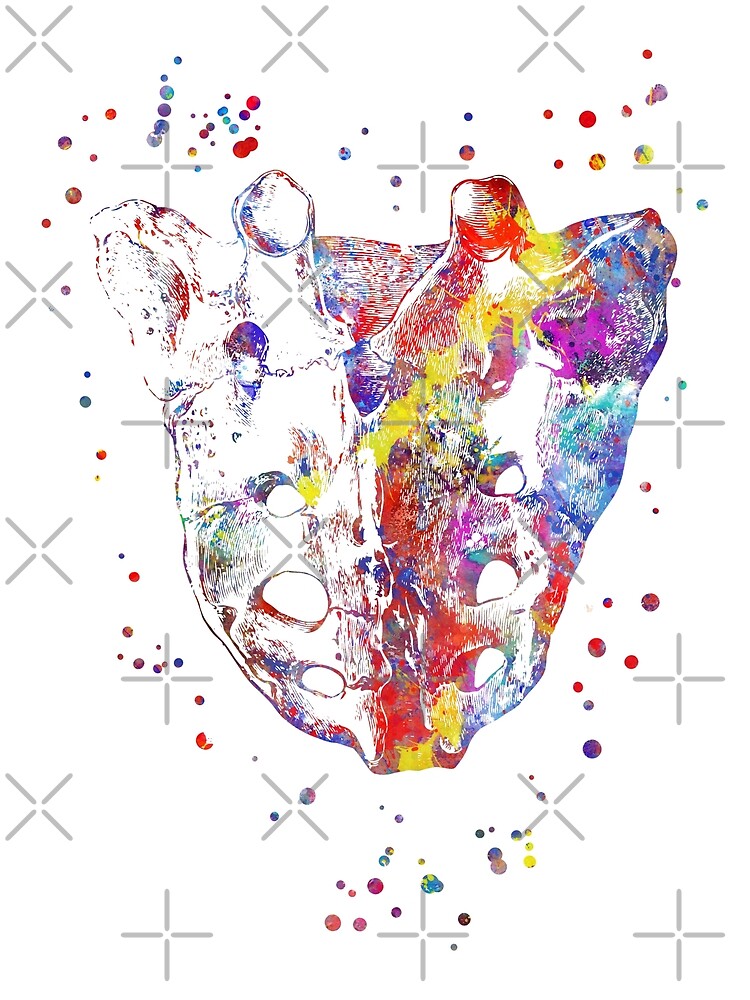 "Sacrum" Poster for Sale by Rosaliartbook | Redbubble