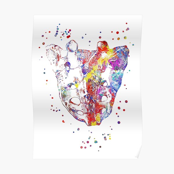 "Sacrum" Poster for Sale by Rosaliartbook | Redbubble