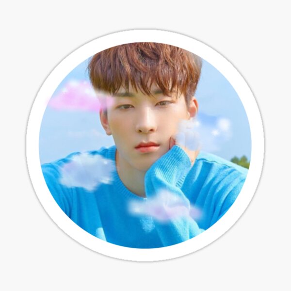 "Seventeen Wonwoo Aesthetic Sticker" Sticker by rainhui | Redbubble