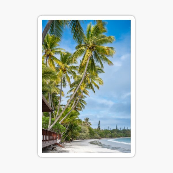 "Coconut Palm Trees at Kuto Bay beach in New Caledonia." Sticker for ...