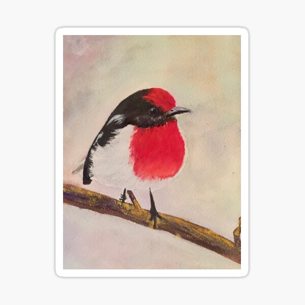 "Australian Red Robin" Sticker by Coralieart | Redbubble