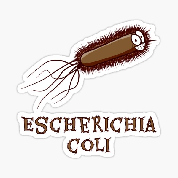 "Escherichia coli Biologie Bakterie Darm Geschenk" Sticker von ...