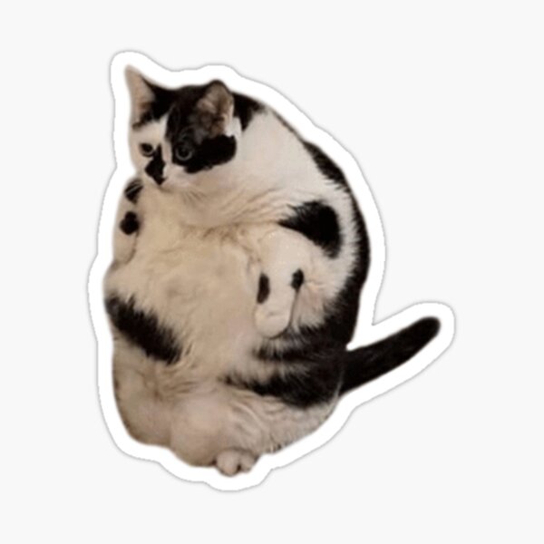 Chonky Animals Gifts & Merchandise | Redbubble