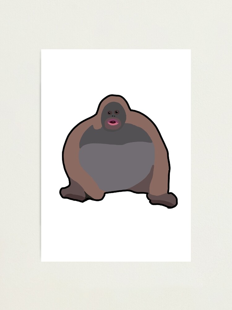 "Le Monke" Photographic Print by coolbeanz07 | Redbubble