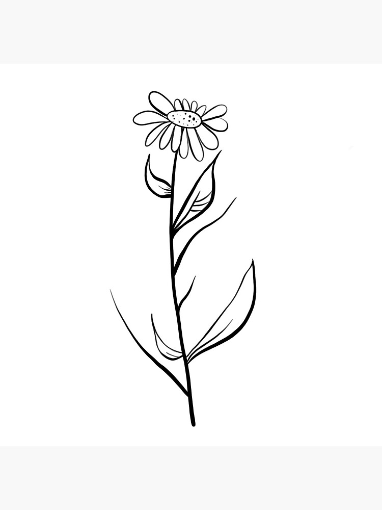 "Daisy Drawing" Sticker by PeytsCorner | Redbubble