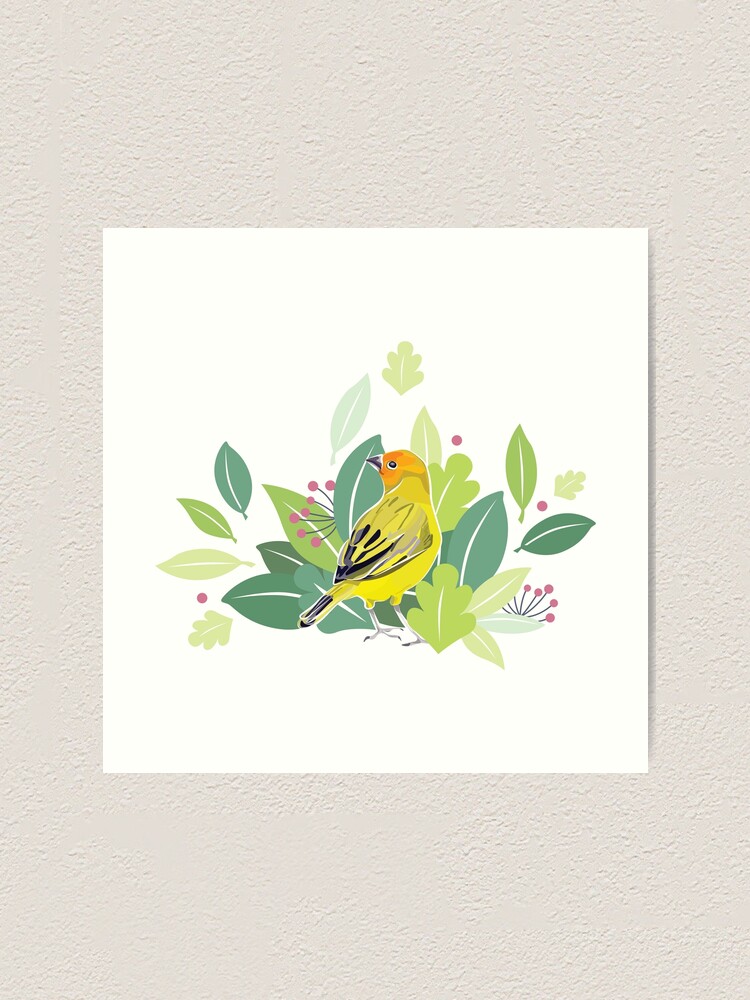 "Canary" Art Print for Sale by vsdesign | Redbubble